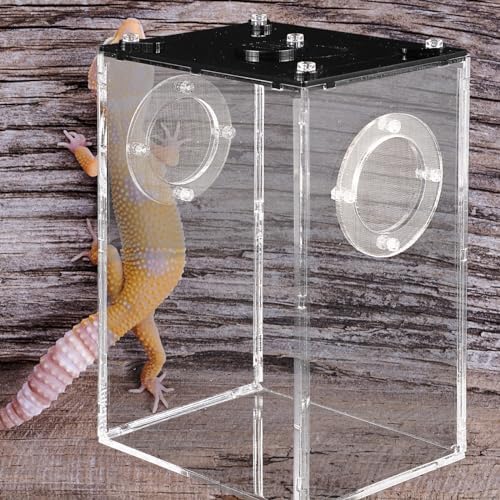 ULTECHNOVO Reptile Tank Reptile Box, Spider Terrarium Lizard Snake ...