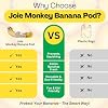 Amazon.com: Joie Monkey Banana Pod Storage Container, Durable Holder ...