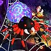 Amazon.com: GOOSH 8 FT Width Halloween Inflatables Spider - Blow Up ...