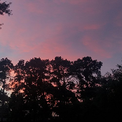 You're the Light by Madi Marie on Amazon Music - Amazon.com