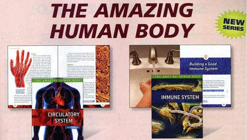 Amazon.com: The Amazing Human Body (Amazing Human Body, 1 ...