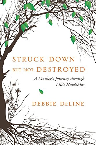 Struck Down but Not Destroyed: A Mother's Journey Through Life's ...