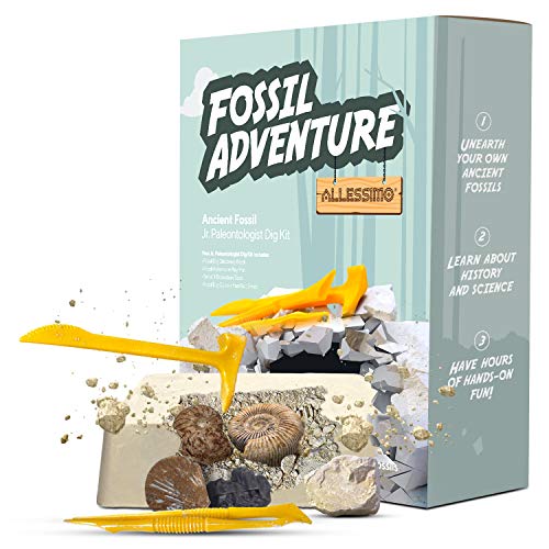 Top 9 Dinosaur Science Kits for Young Paleontologists