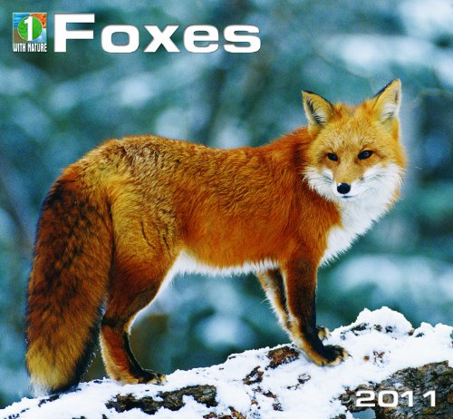 Foxes 2011 Calendar: Zebra Publishing Corp.: 9781554563531: Amazon.com ...