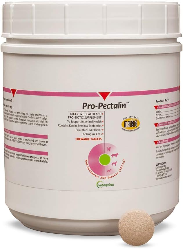 Amazon.com : Vetoquinol Pro-Pectalin Chewable Tablets for Dogs & Cats ...