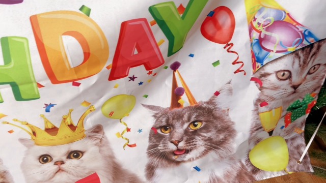 Watch Cat Happy Birthday Backdrop Kitten Photography Background on ...