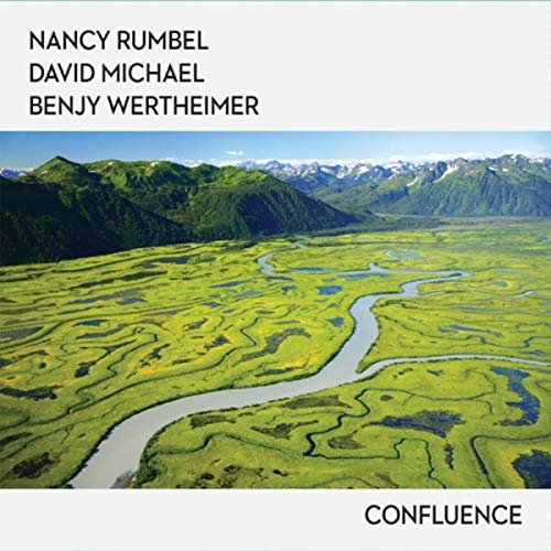 Amazon.com: Confluence : Nancy Rumbel, David Michael & Benjy Wertheimer ...