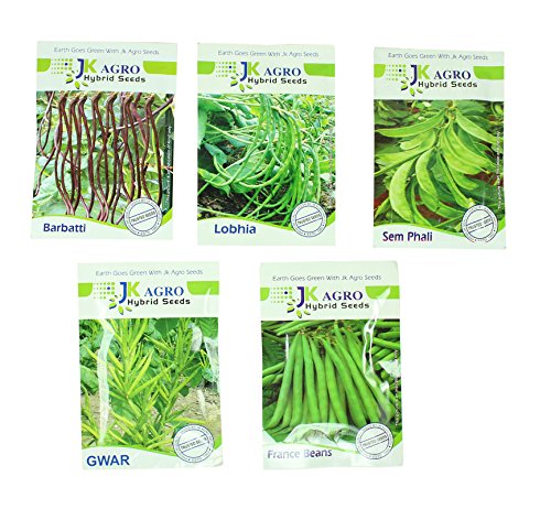 5 Variety Deluxe JK Agro Vegetable Seeds Create a Deluxe Garden (5 ...