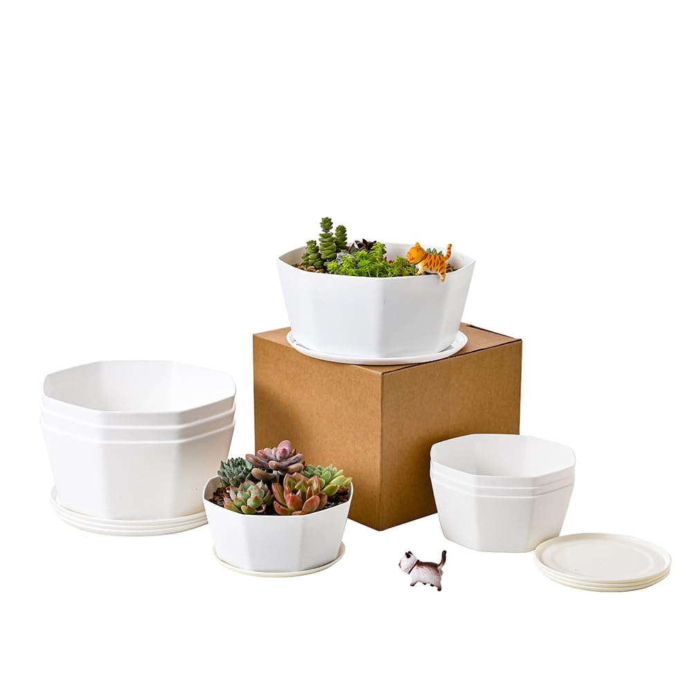Amazon.com : BangQiao 8 Pack 8.00 inch and 5.90 inch White Plastic ...