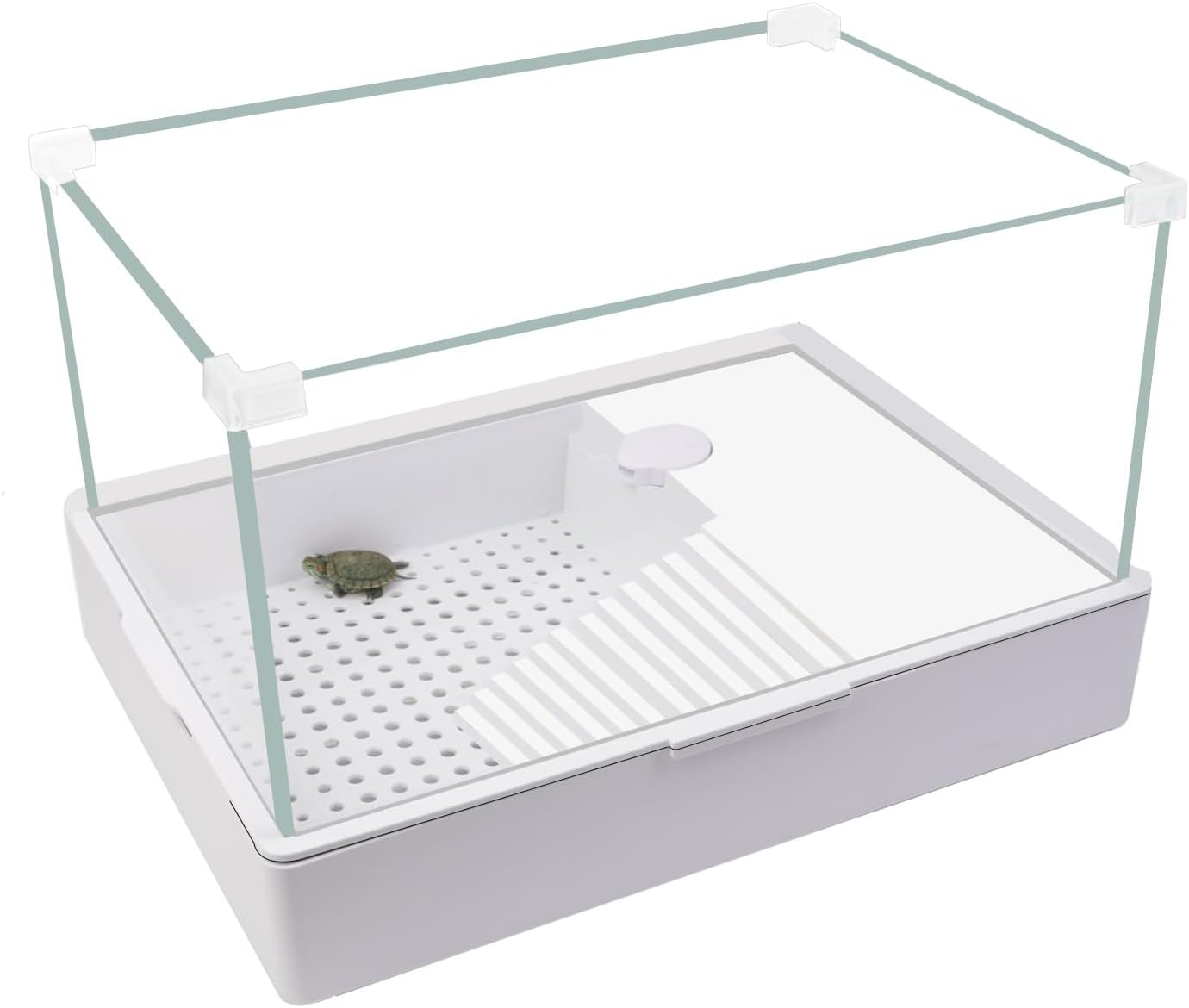 Amazon.com : Turtle Tank, Turtle Aquarium, HD GlassTurtle Terrarium ...