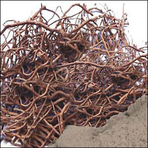 Pmw - Pippali Mool - Pippalimool - Pippalimul - Piper Longum - Long ...