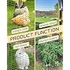 Amazon.com : Chicken Wire 15.7in x 236in with a Pair of Gloves，1 Wire ...