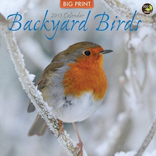 Backyard Birds 2013 Calendar: TF Publishing: 9781617764943: Amazon.com ...