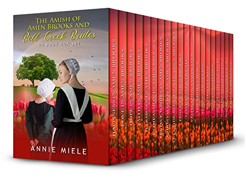 Amazon.com: The Amish of Amen Brooks and Bell Creek - 20 Book Box Set ...