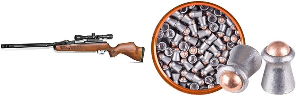 Amazon.com : Gamo Swarm Bone Collector 10X GEN3i .22 Cal. 10 Pellet Air ...