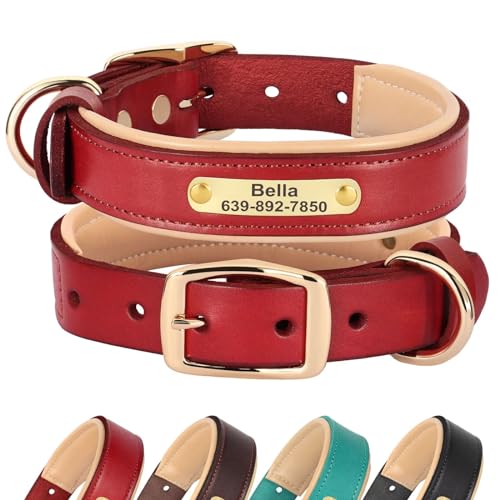 Leather Dog Collar with Name Plate – The 15 best products compared ...