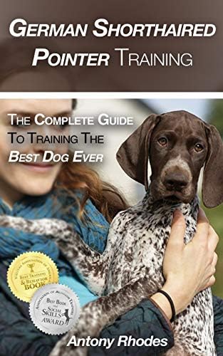Are Pointers Good Dogs To Train