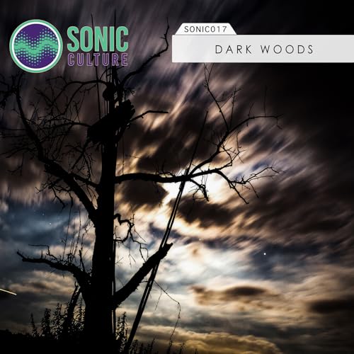Don't Leave song by Hal Cragin from Dark Woods on Amazon Music