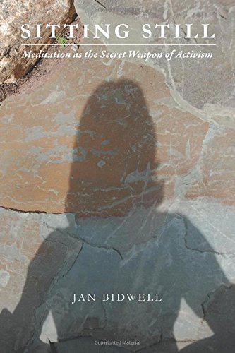 Sitting Still: Meditation as the Secret Weapon of Activism: Bidwell ...