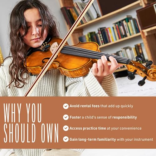 The 6 Best Intermediate Violins In 2025