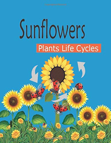 Buy SunFlowers s Life Cycles: Blankbook about the life cycle of s learn ...