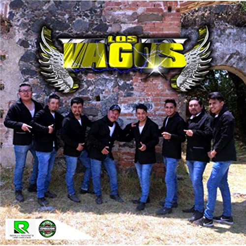 Amazon.com: Los Vagos : Grupo Los Vagos: Digital Music