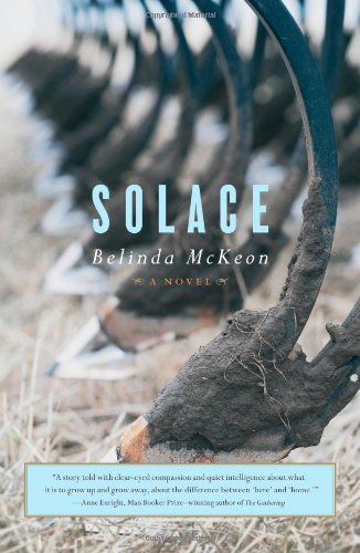 Buy Solace: A Novel Book Online at Low Prices in India | Solace: A ...