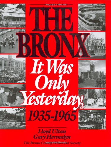 The Bronx: It Was Only Yesterday, 1935-1965 (Life in The Bronx Series ...