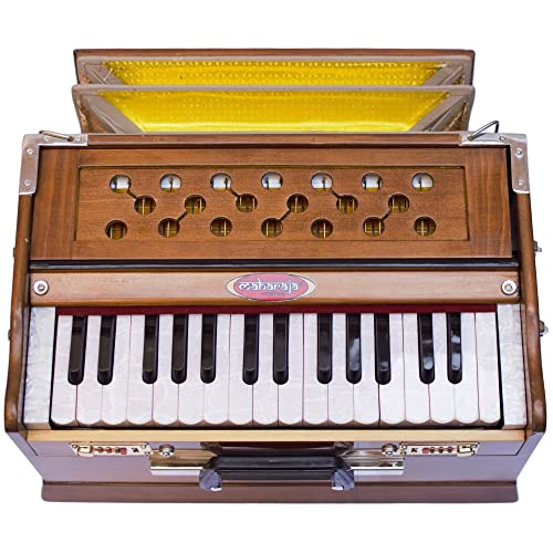 10 Best Harmoniums | 2025