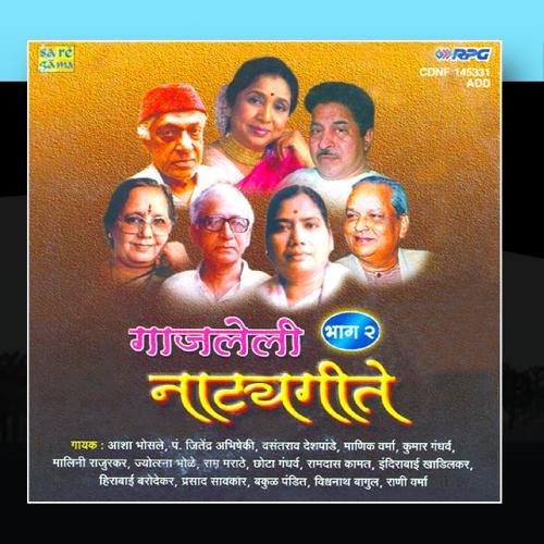 Amazon.com: Gajaleli Natya Geete Vol.2: CDs & Vinyl