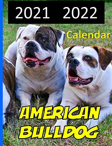 2021 2022 American Bulldog Calendar: 24 months calendar, weekly ...