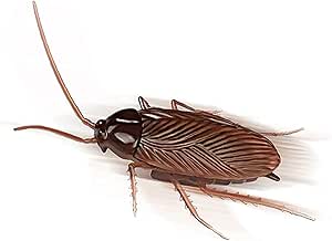 Fitto Battery Operated Realistic Fake Cockroach Toy with Obstacle ...