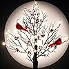 Amazon.com: LED Vintage Glowing Tree with Cardinals, Ansurely Cardinal ...