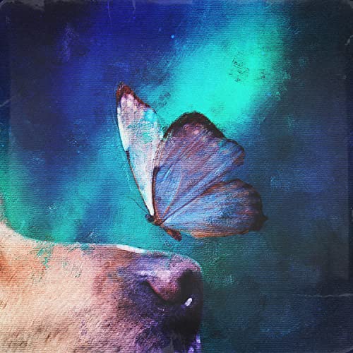 Aurora RGB – The 15 best products in comparison - Hifi-Online.net