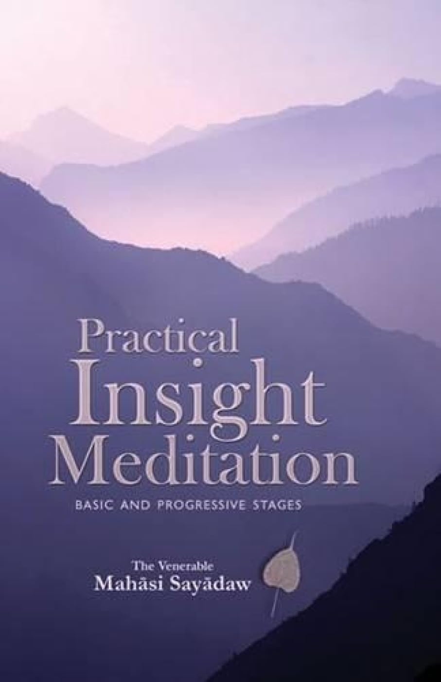 Practical Insight Meditation: Basic and Progressive Stages: Sayadaw ...