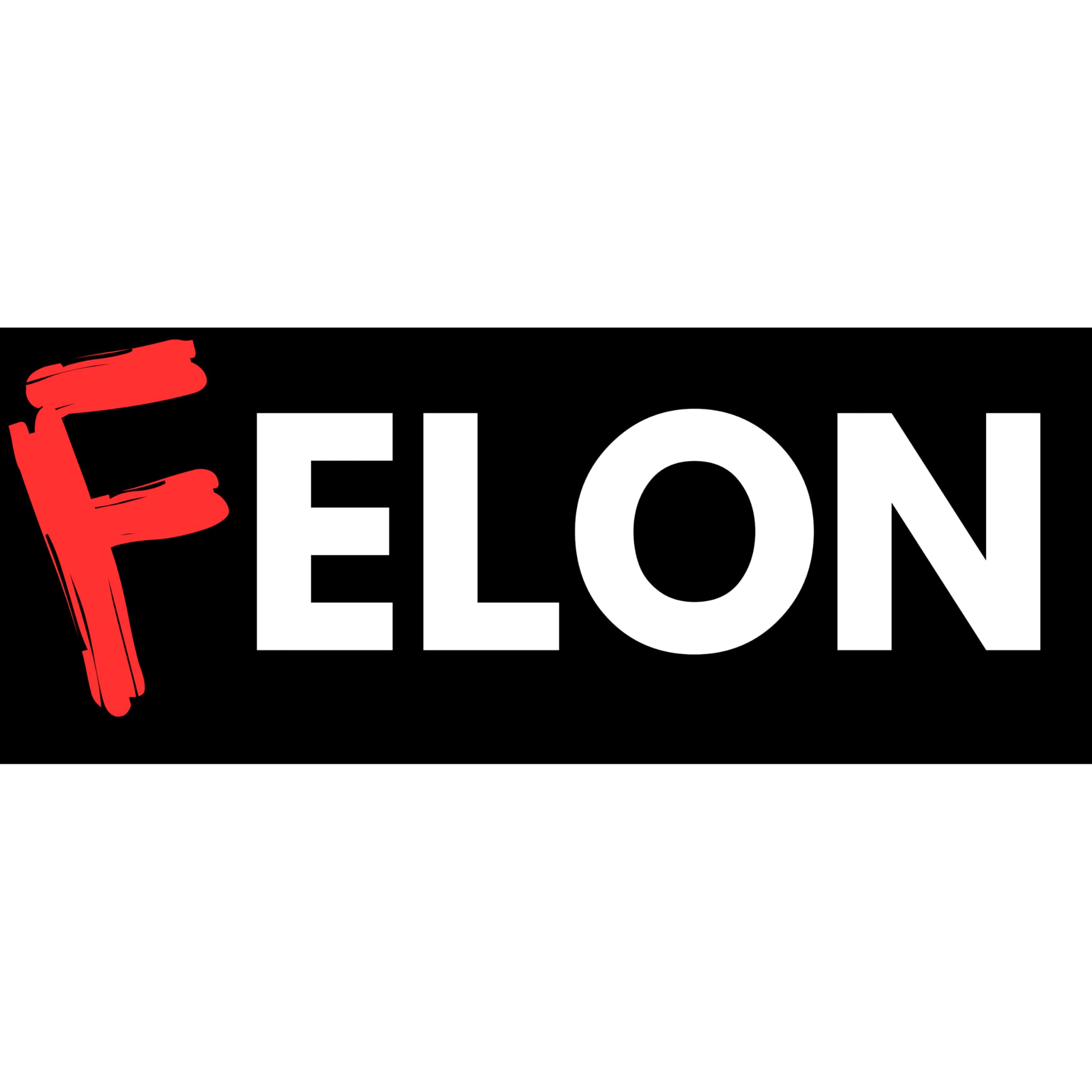 Amazon.com - F-Elon Bumper Sticker Vinyl Decal for Tesla Model X Y 3 ...