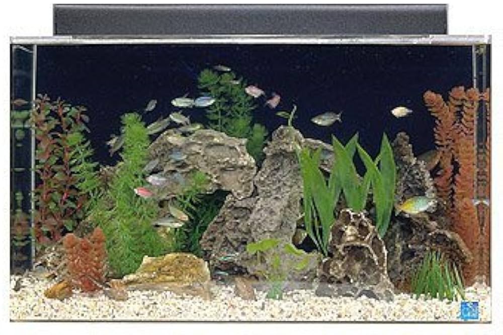 SeaClear Aquariums Fish Tanks Direct 56 OFF