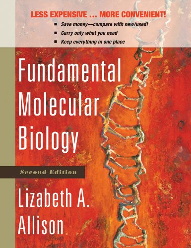 Fundamental Molecular Biology: Allison, Lizabeth A.: 9781118312599 ...