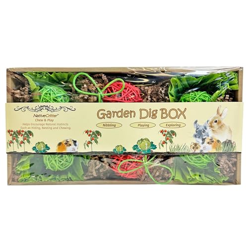 Best Dig Box for Rabbit: Top Choices for Enrichment and Hygiene – Amy's ...