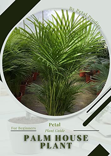 Palm House Plant: Prodigy Petal, Plant Guide eBook : Prodigy, Petal: Amazon.in: Kindle Store