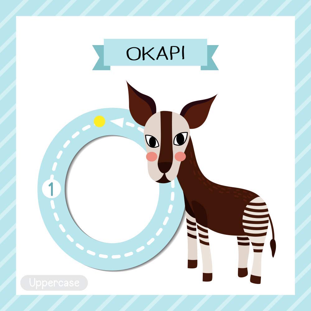 Buy alphabet chart of o for okapi |Kids Room s| for Play Schools ...