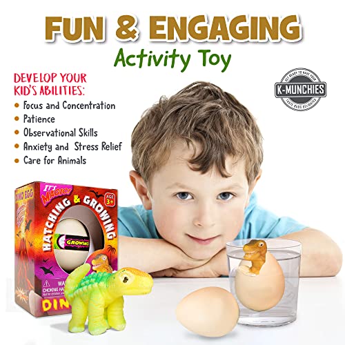 Snapklik.com : K-Munchies Surprise Dino Eggs Toys - 4 Pack Growing And ...