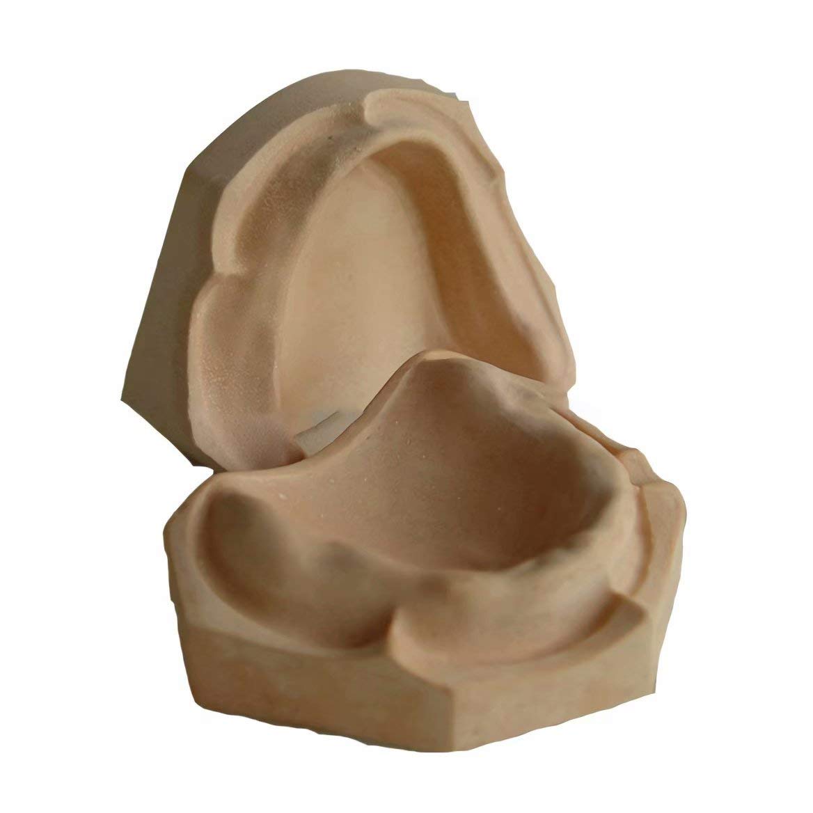 Oral Model Dentition Defect Mold Full Tooth Toothless Negative Mold ...