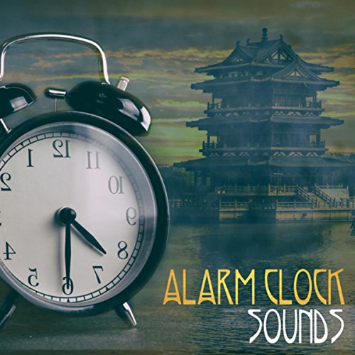 Amazon.com: Alarm Clock Sounds : Various artists: Digital Music