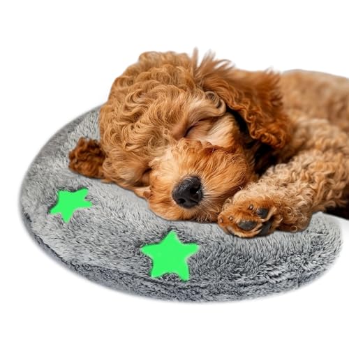 Amazon Best Sellers: Best Dog Bed Pillows