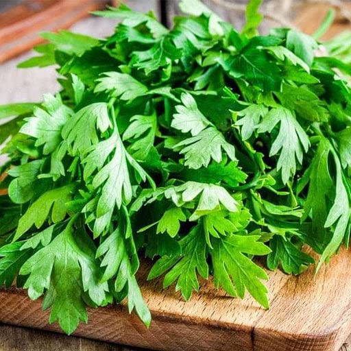 Dhaniya seeds for planting ( 200 seeds ) : Amazon.in: Garden & Outdoors