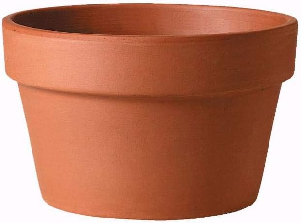 Amazon.com: Southern Patio 6 in. Clay Azalea Pot : Patio, Lawn & Garden