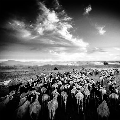 Sarrast : Mamad Arez: Amazon.fr: Téléchargement de Musique