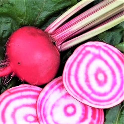 The 28 Best Roasted Canned Beets of 2025 [Verified] - Cherry Picks