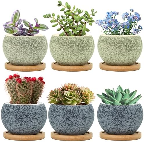 Amazon.com : Mini Succulent Plant Pots – 2.5" Ceramic Planters with ...